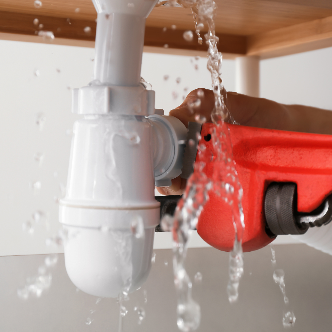 How To Spot a Plumbing Leak – Plumber In Surprise AZ | The Family ...
