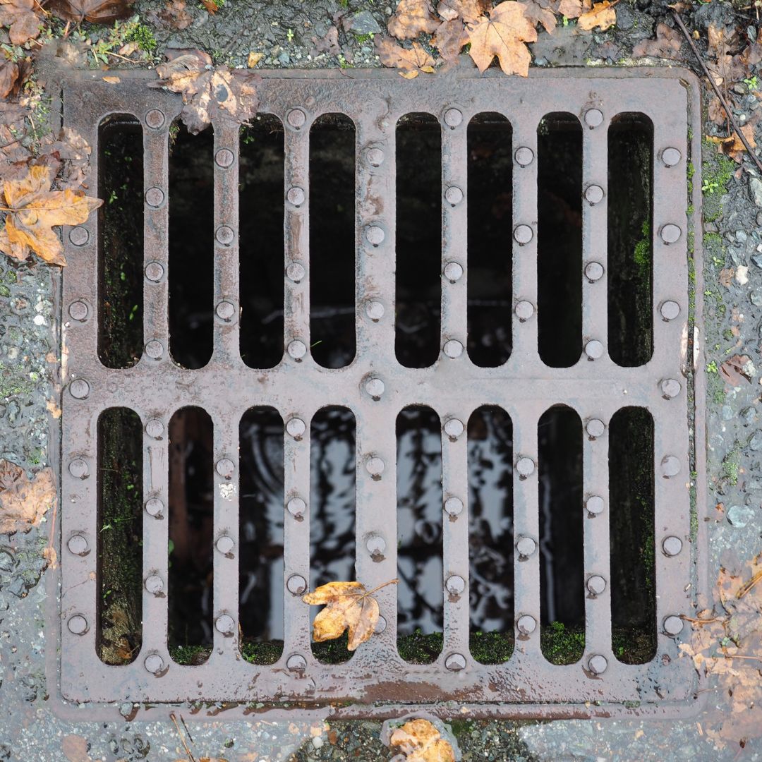 Understanding Sewer Drains: Common Problems, Sizing, and the Importance of Professional Plumbing ...